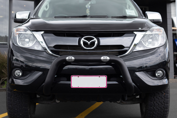 Nudge Bar: High Quality Aluminium Protection | Fully Equipped